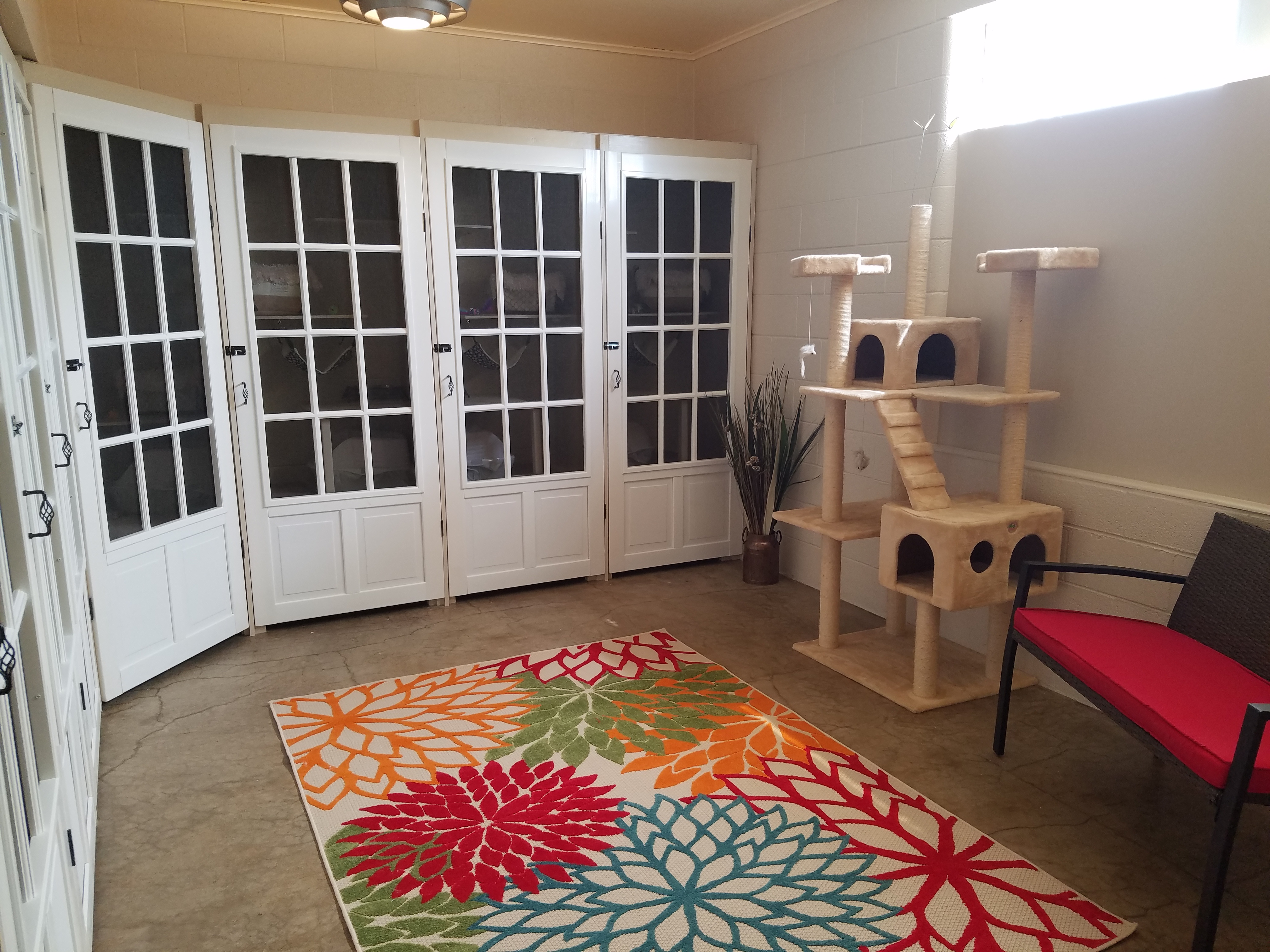 20170917_144315 – Diamonds in the Ruff