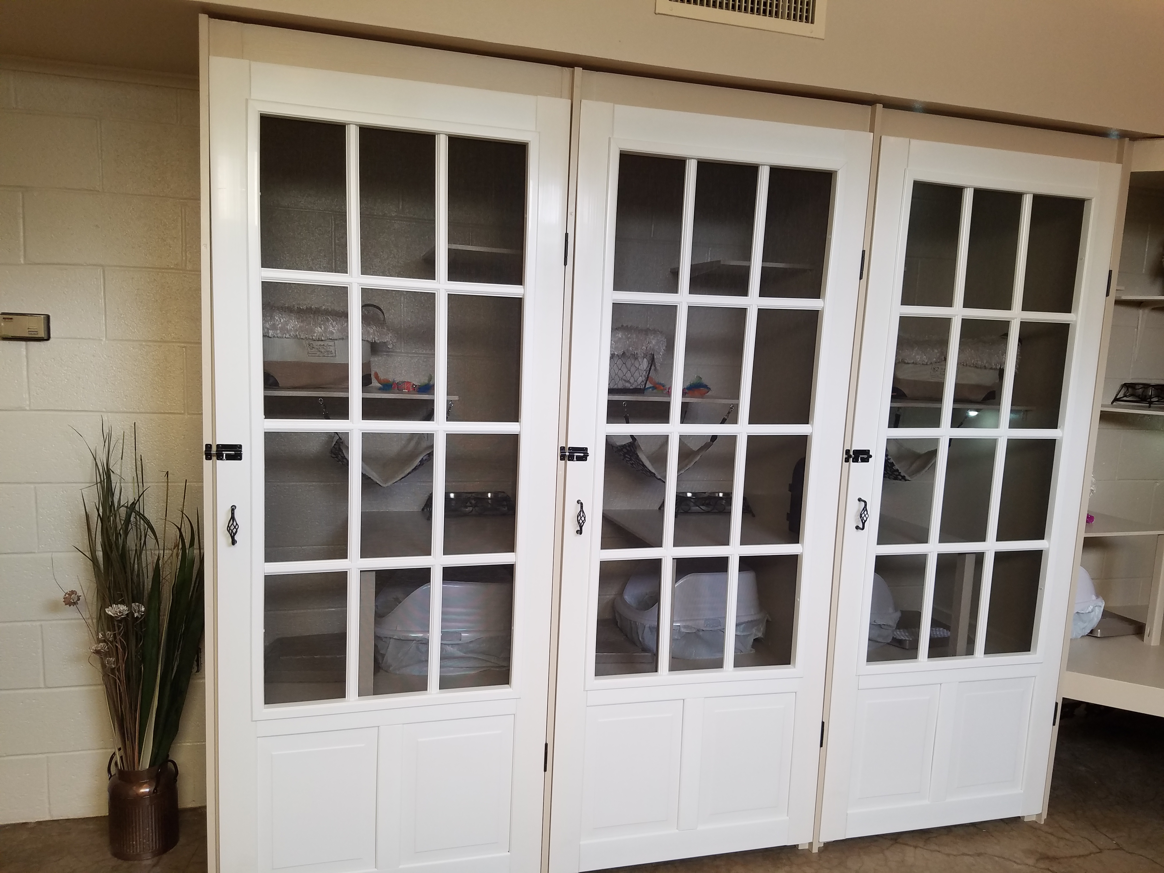 20170917_144515 – Diamonds in the Ruff